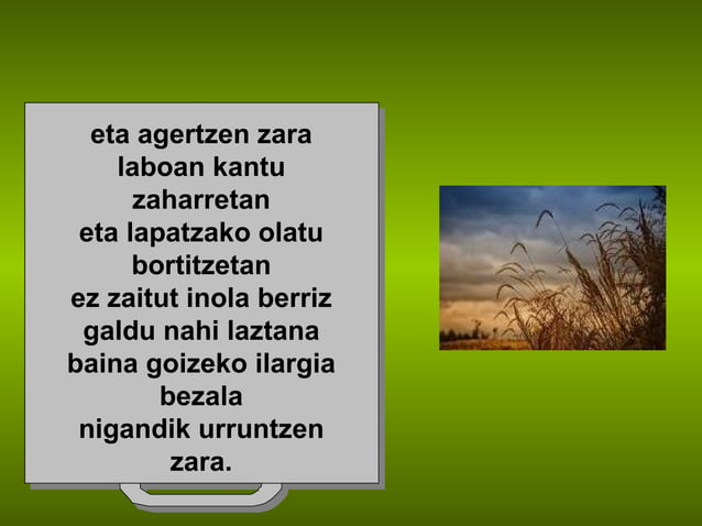 Haizea | PPT