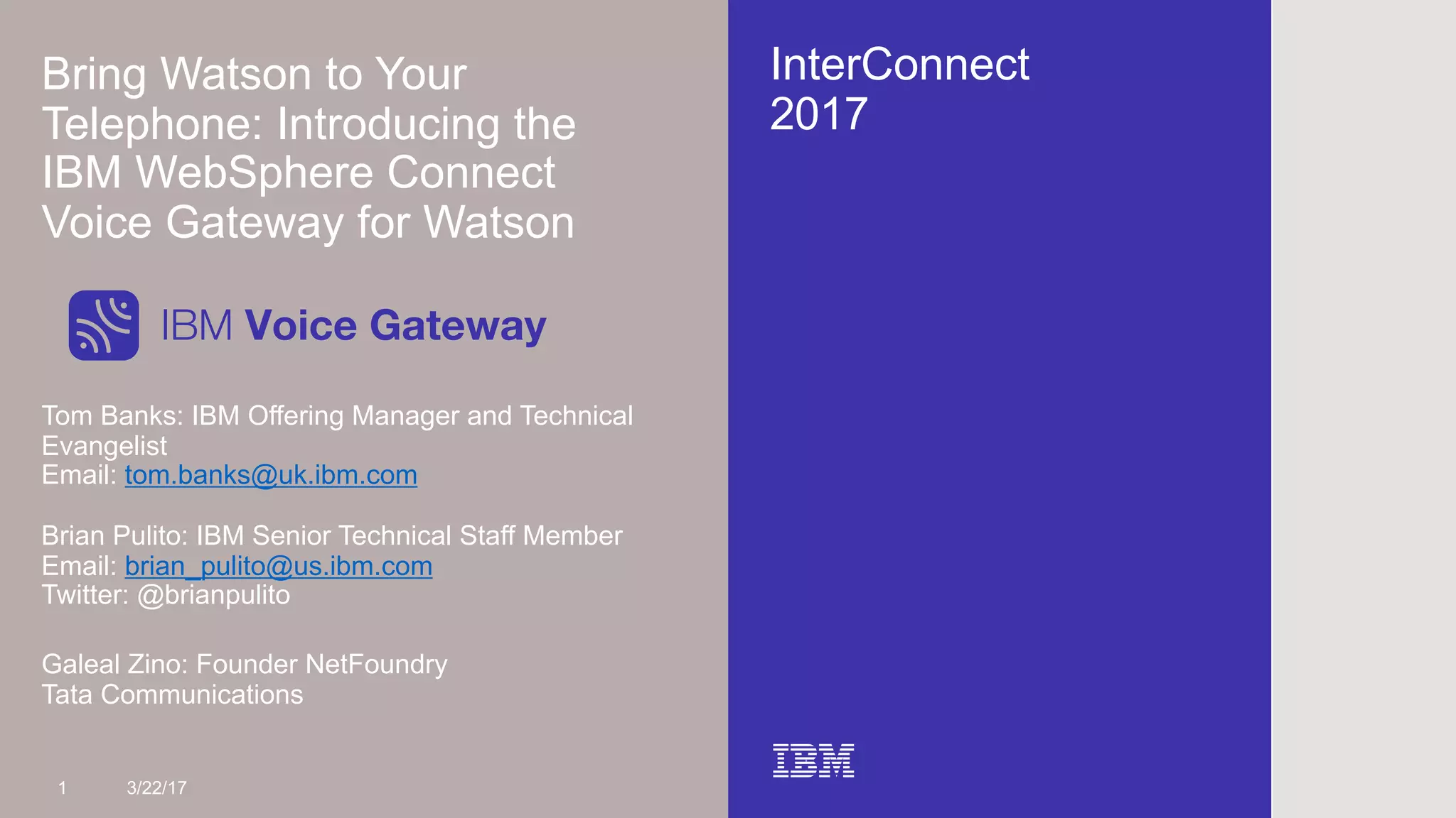 Bring IBM Watson to your telephone | PPT