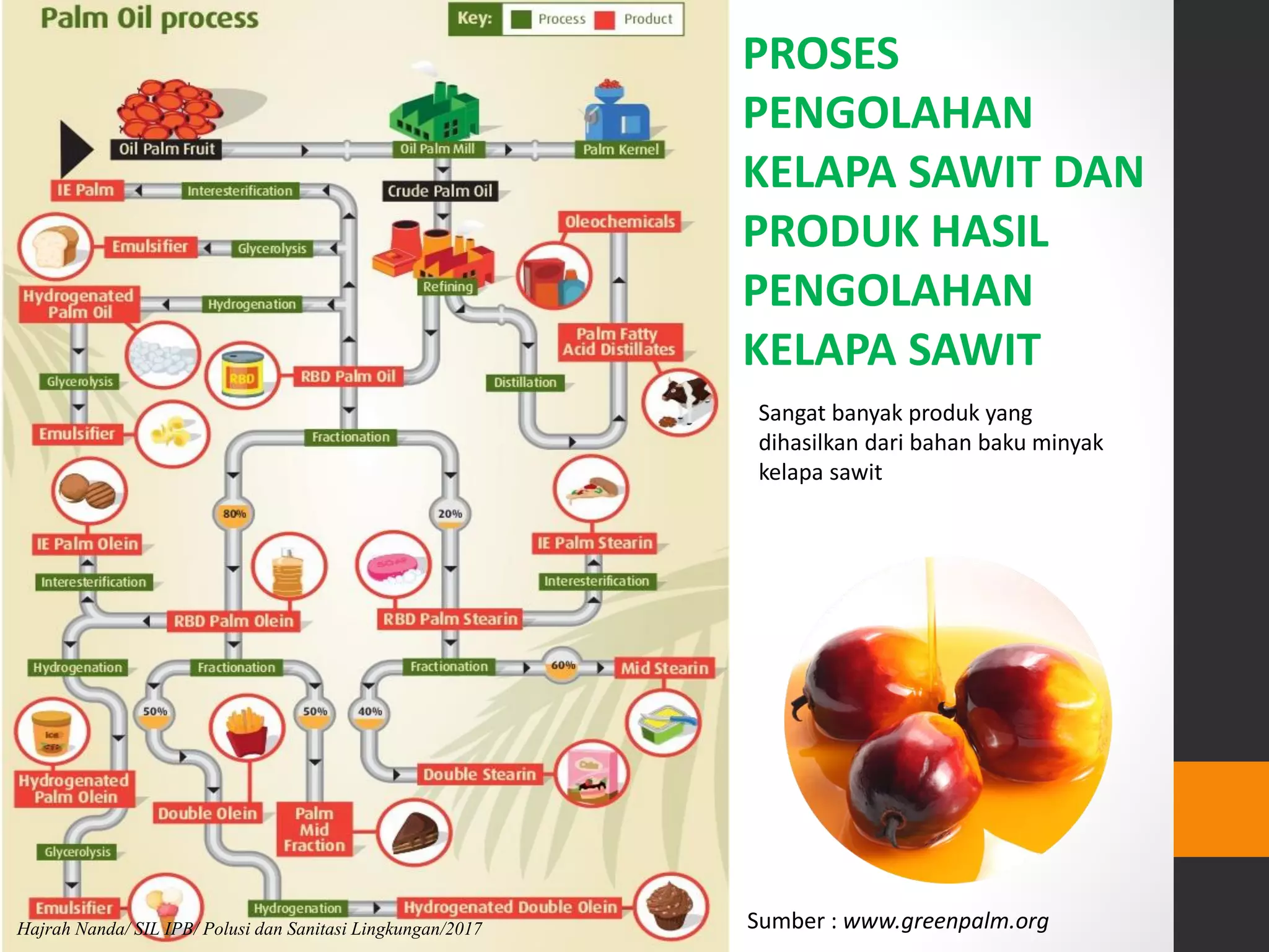 TEKNOLOGI PENGOLAHAN LIMBAH PADAT INDUSTRI PENGOLAHAN MINYAK KELAPA SAWIT | PDF