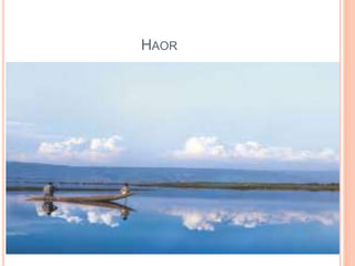 Hakaluki Haor | PPTX | Geography | Science