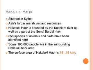 Hakaluki Haor | PPTX | Geography | Science