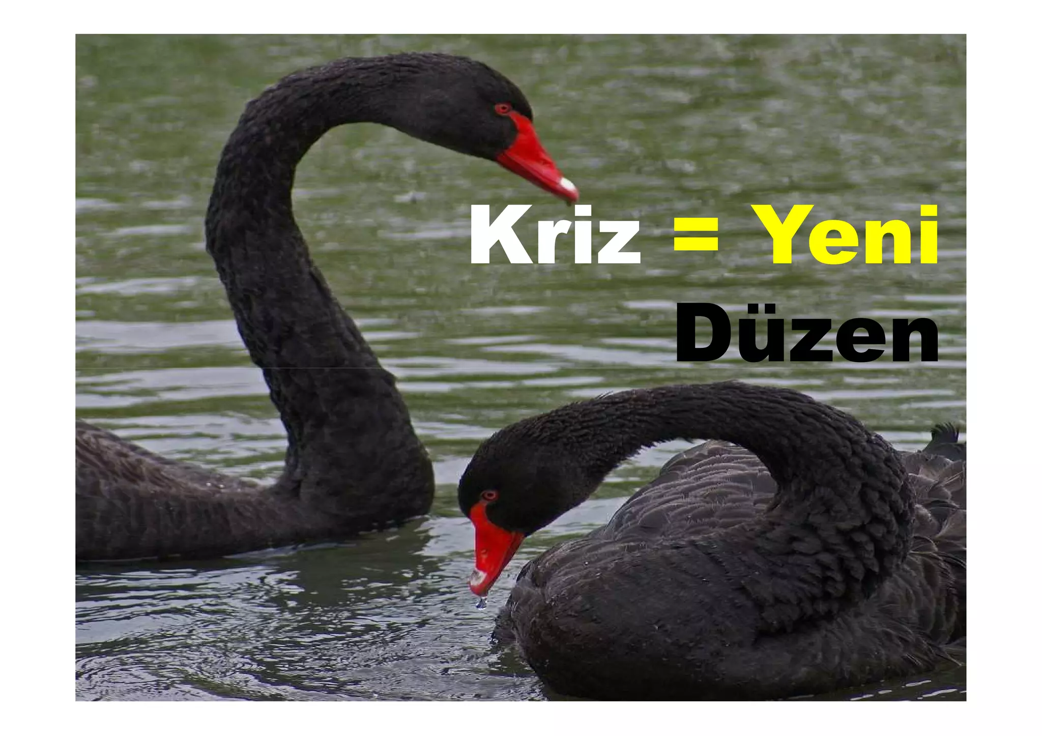 Hakan Akbas 6. Liderlik Zirvesi Sunumu | PDF