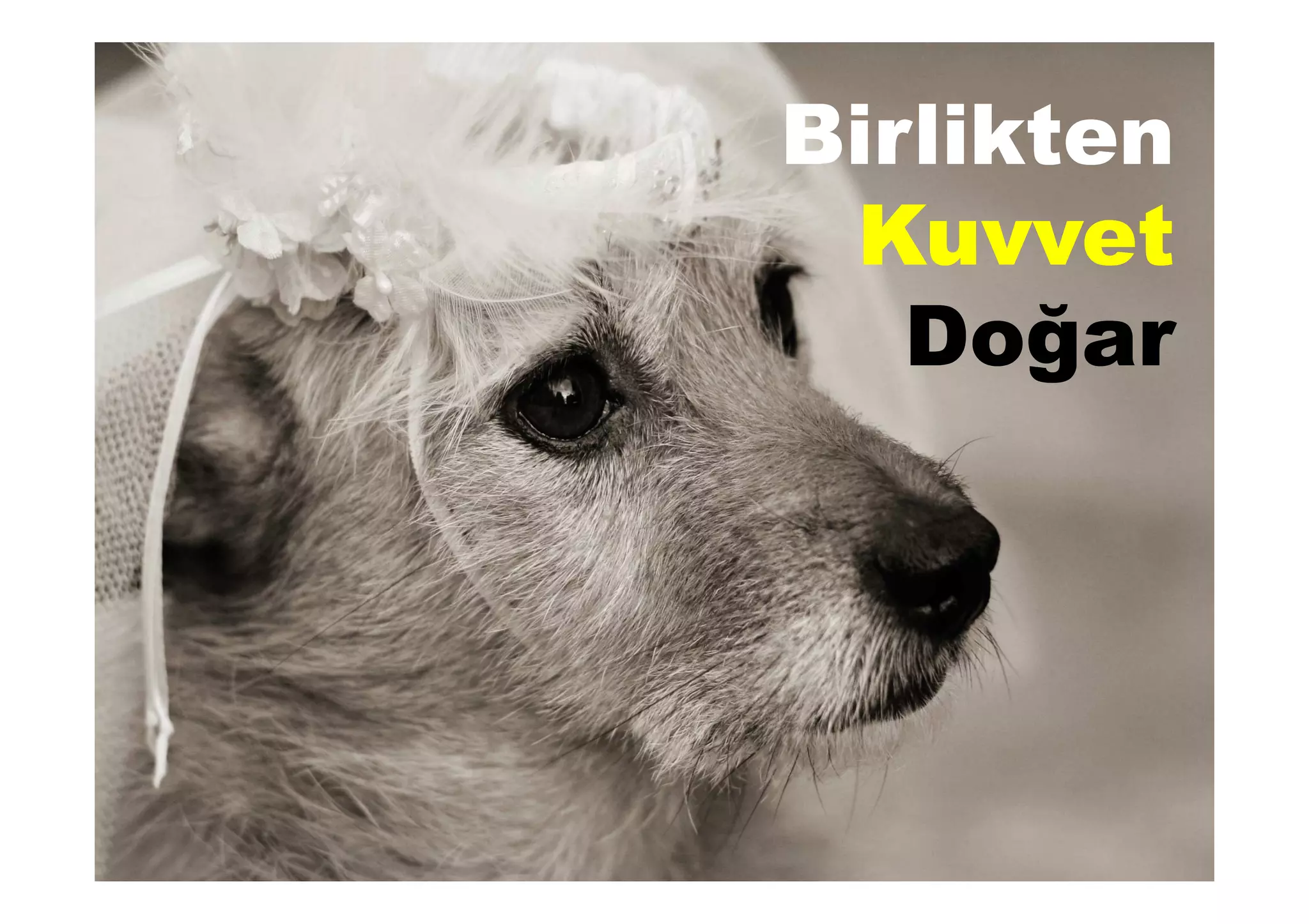 Hakan Akbas 6. Liderlik Zirvesi Sunumu | PDF