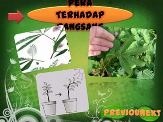 Hakikat biologi | PPTX