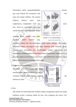 Hakikat pembelajaran ipa di sd | PDF