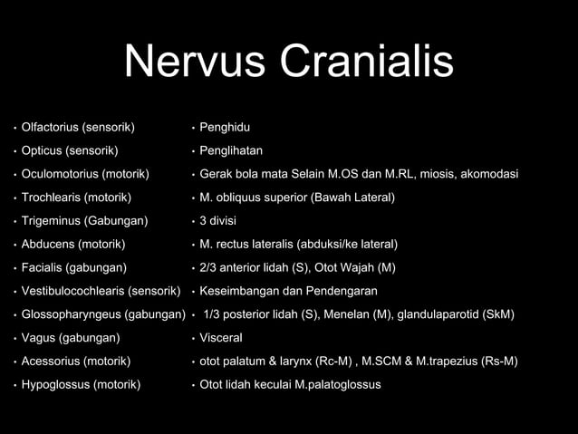 Hakim 7 (sore) Nervus Cranialis | PPT