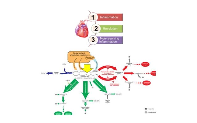 Inflammation and the Resolution of Inflammation in Heart Failure ...