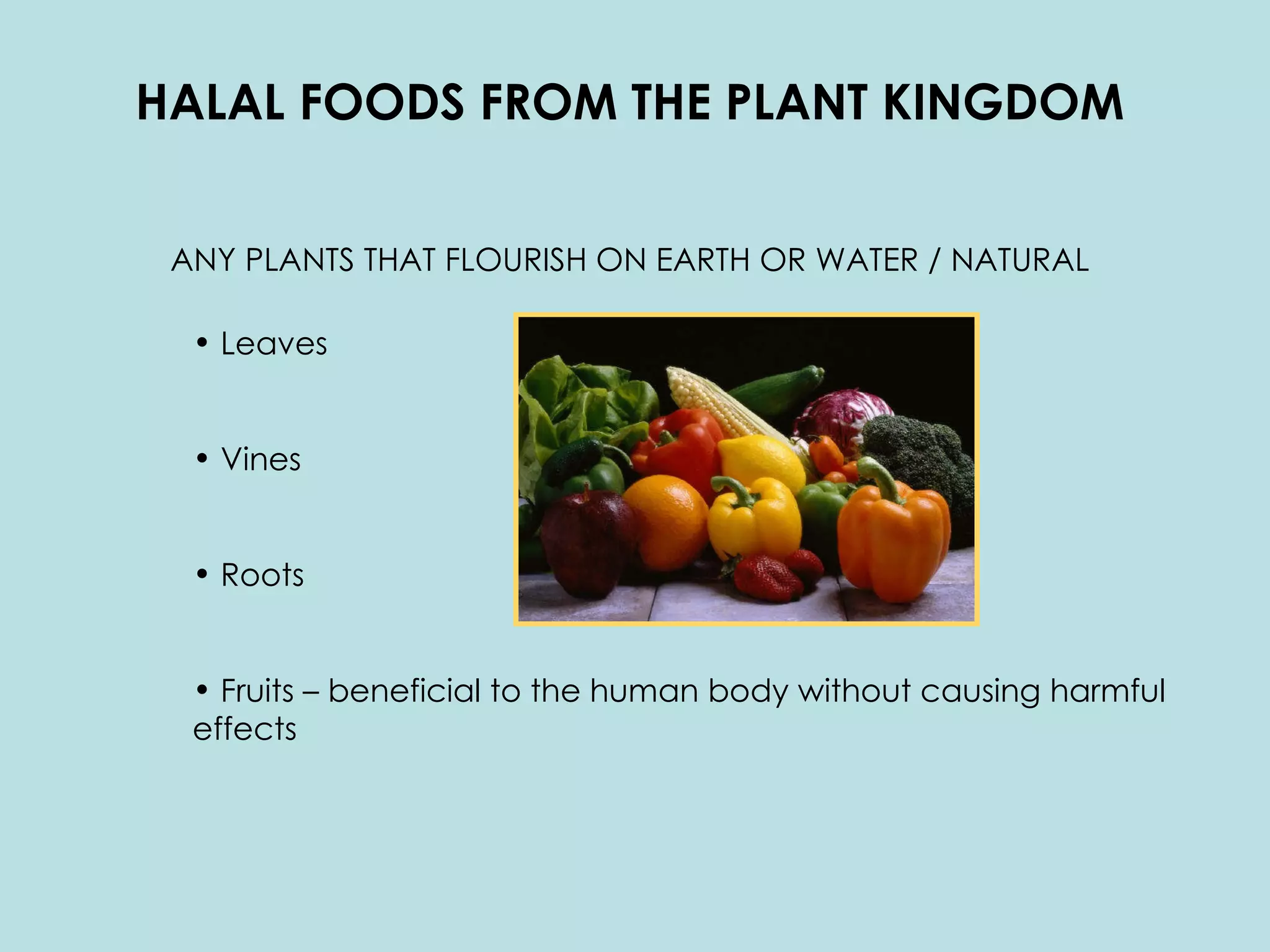 Halal Pboro | PPT