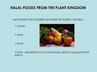 Halal Pboro | PPT