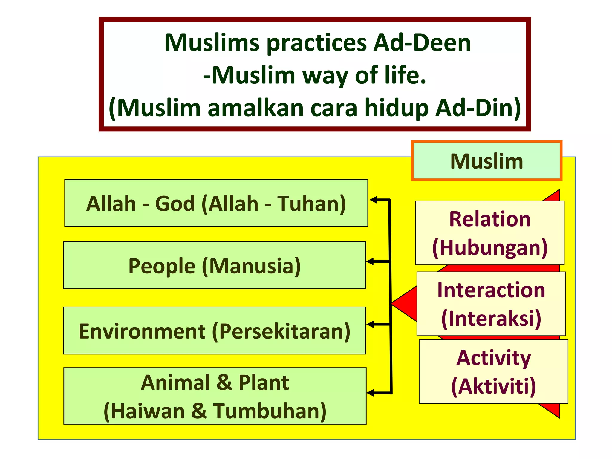 Halal Awareness | PDF