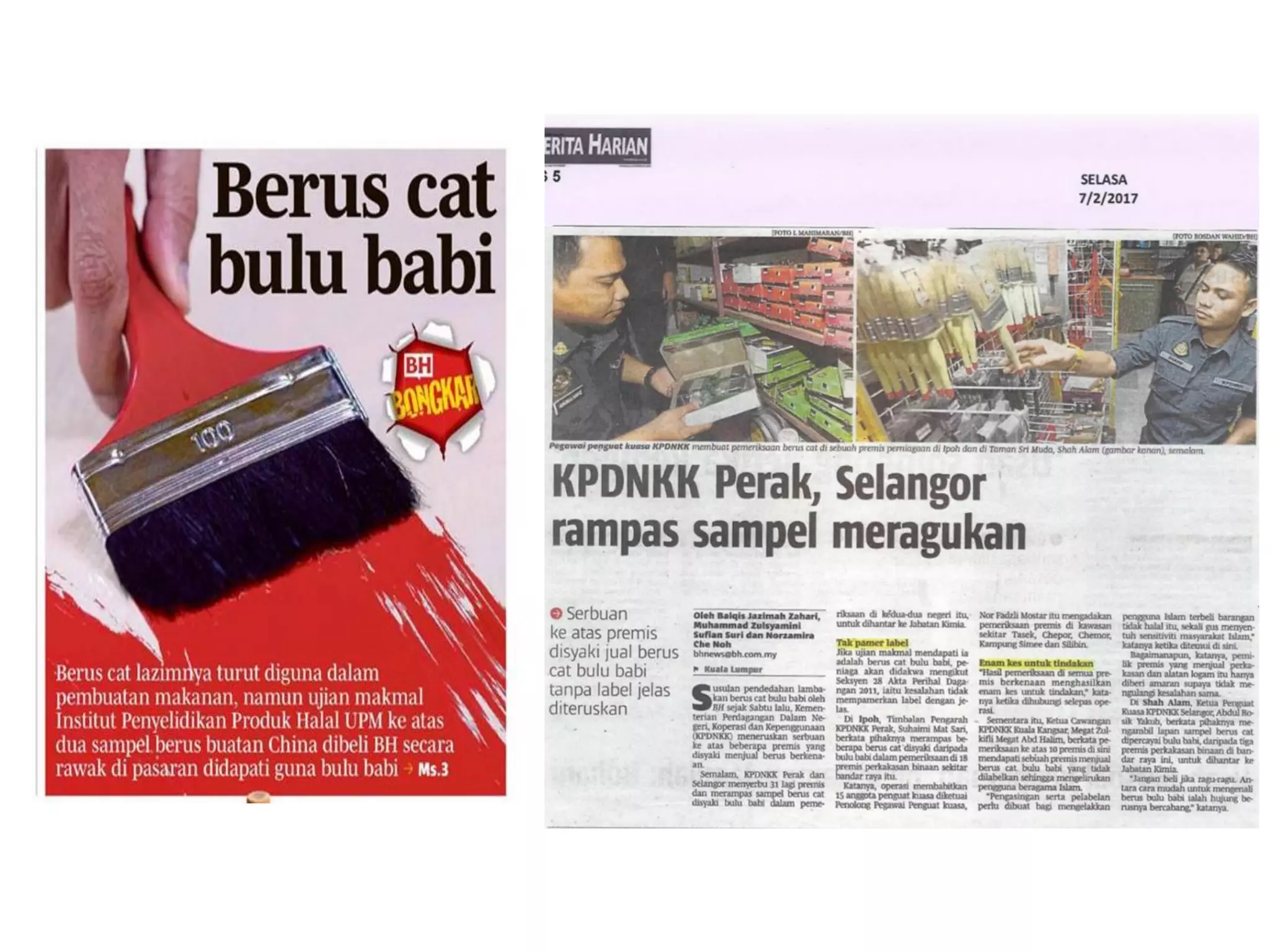 Halal Awareness | PDF