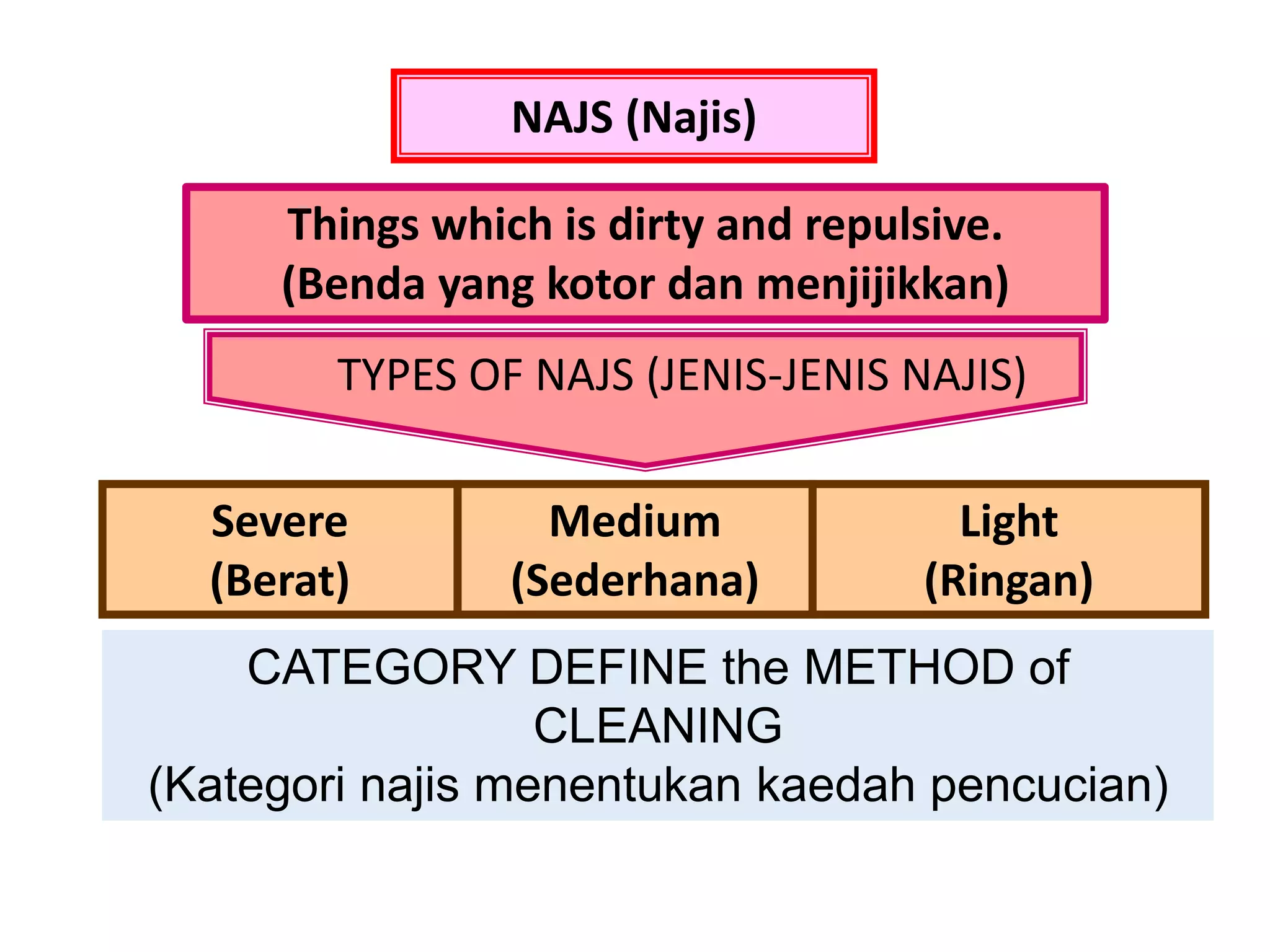Halal Awareness | PDF