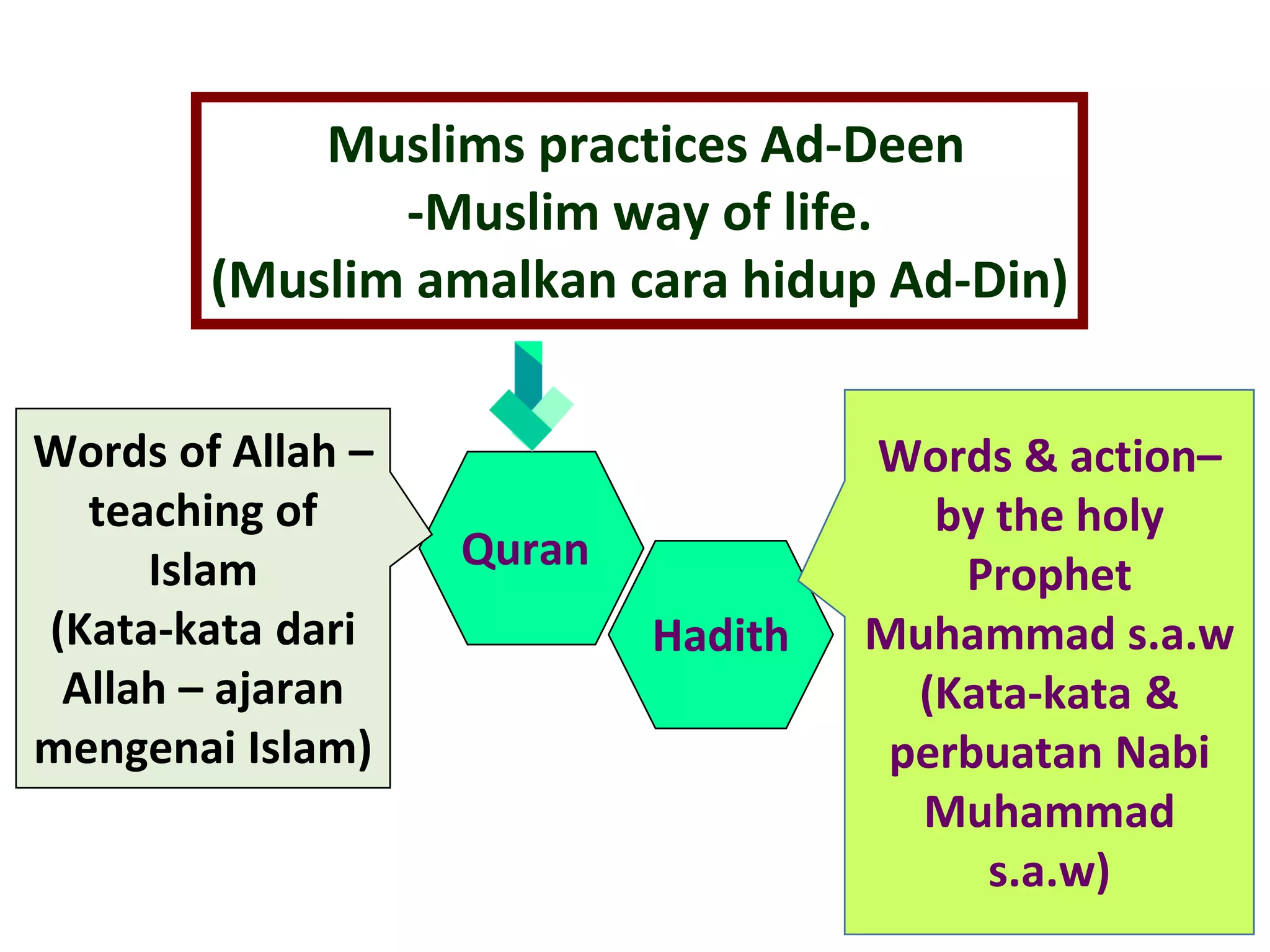 Halal Awareness | PDF