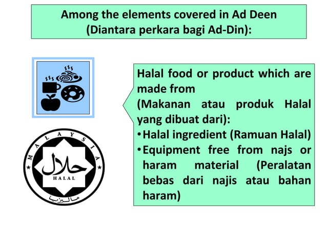 Halal Awareness | PDF