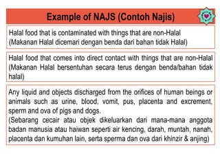 Halal Awareness | PDF