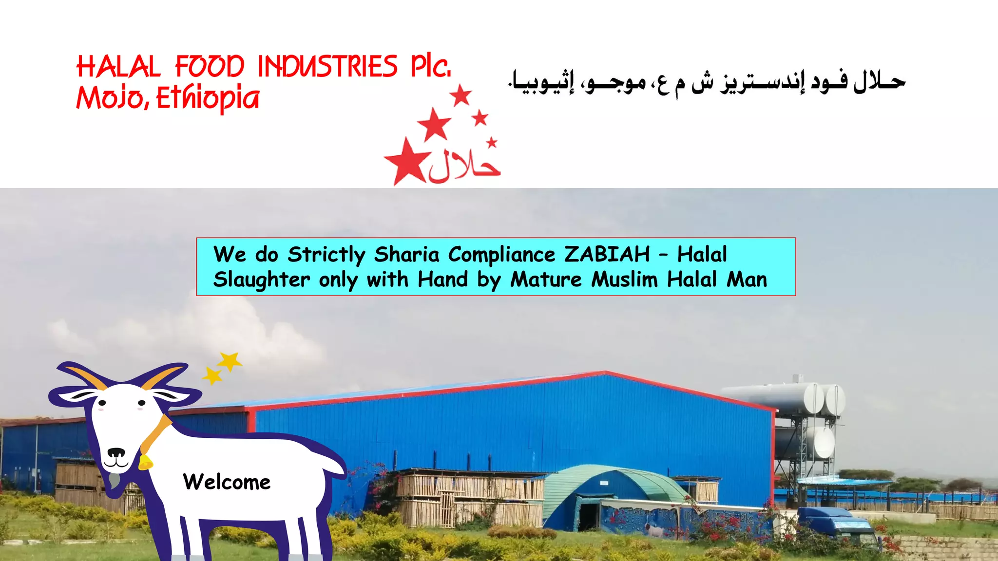 Halal Food Industries plc, Modjo Ethiopia | PDF