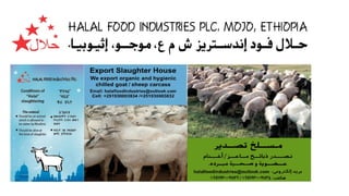 Halal Food Industries plc, Modjo Ethiopia | PDF