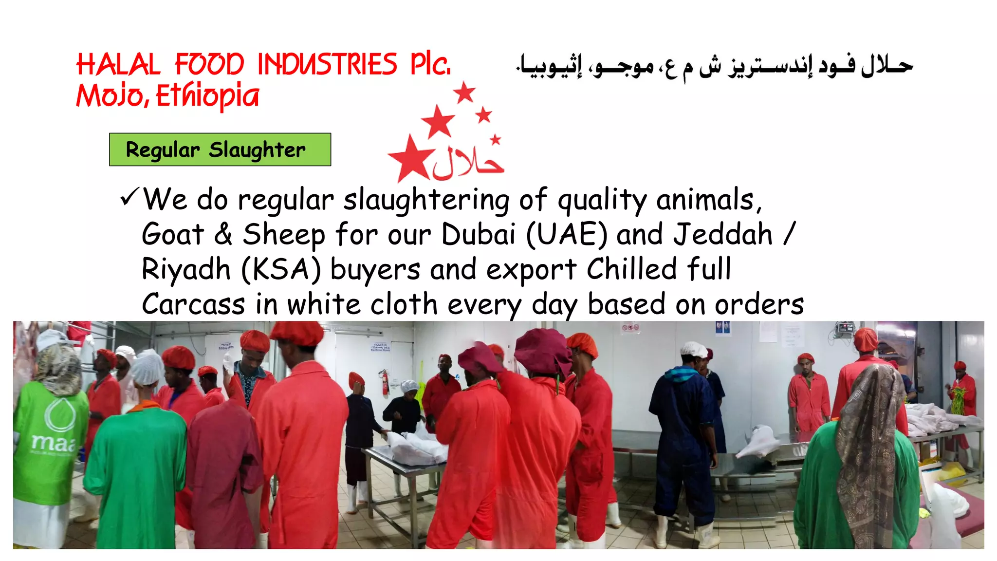 Halal Food Industries plc, Modjo Ethiopia | PDF