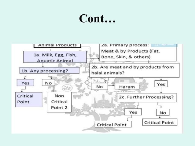 Halal food products | PPT