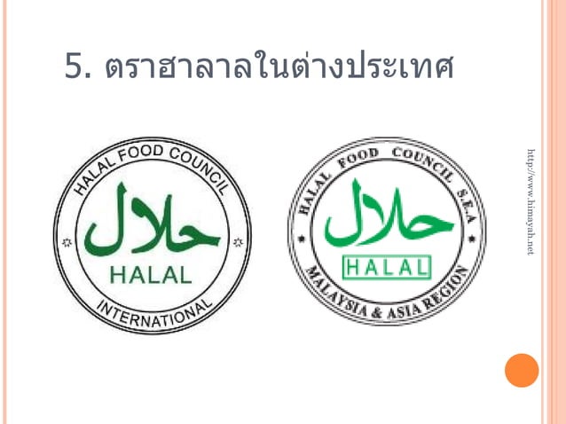 Halal Highlight02 | PPT