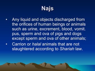 Halal industry in mauritius by jummah masjid halal products and ...