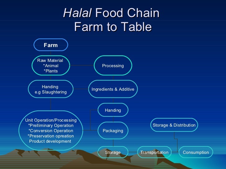 Halal industry in mauritius by jummah masjid halal products and servi…
