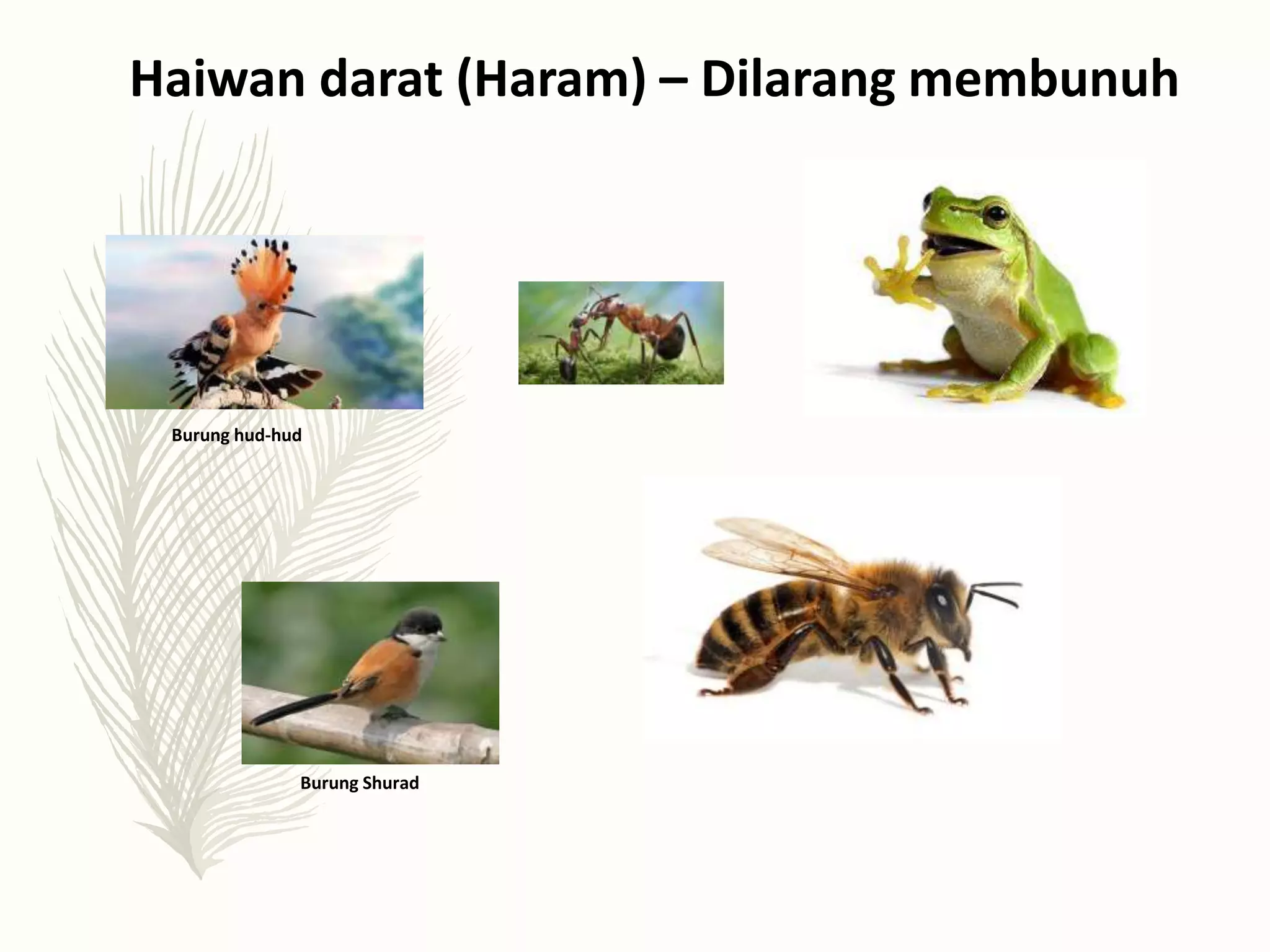 Halal ingredients in food processing | PPT