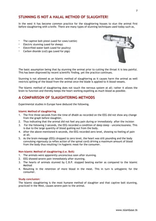 Halal meat | PDF | Islam | Religion & Spirituality