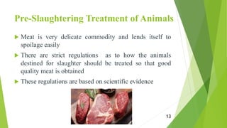 Halal slaughtering | PPTX