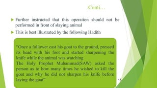 Halal slaughtering | PPTX