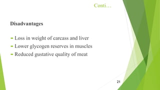 Halal slaughtering | PPTX