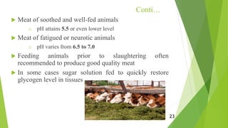 Halal slaughtering | PPTX