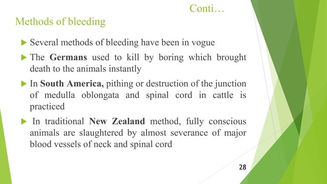 Halal slaughtering | PPTX | Islam | Religion & Spirituality