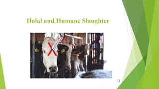 Halal slaughtering | PPTX | Islam | Religion & Spirituality