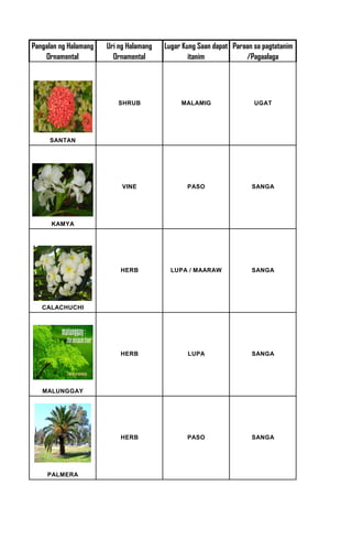Halamang Ornamental | PDF