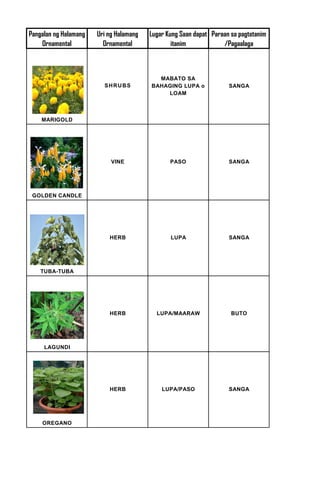 Halamang Ornamental | PDF