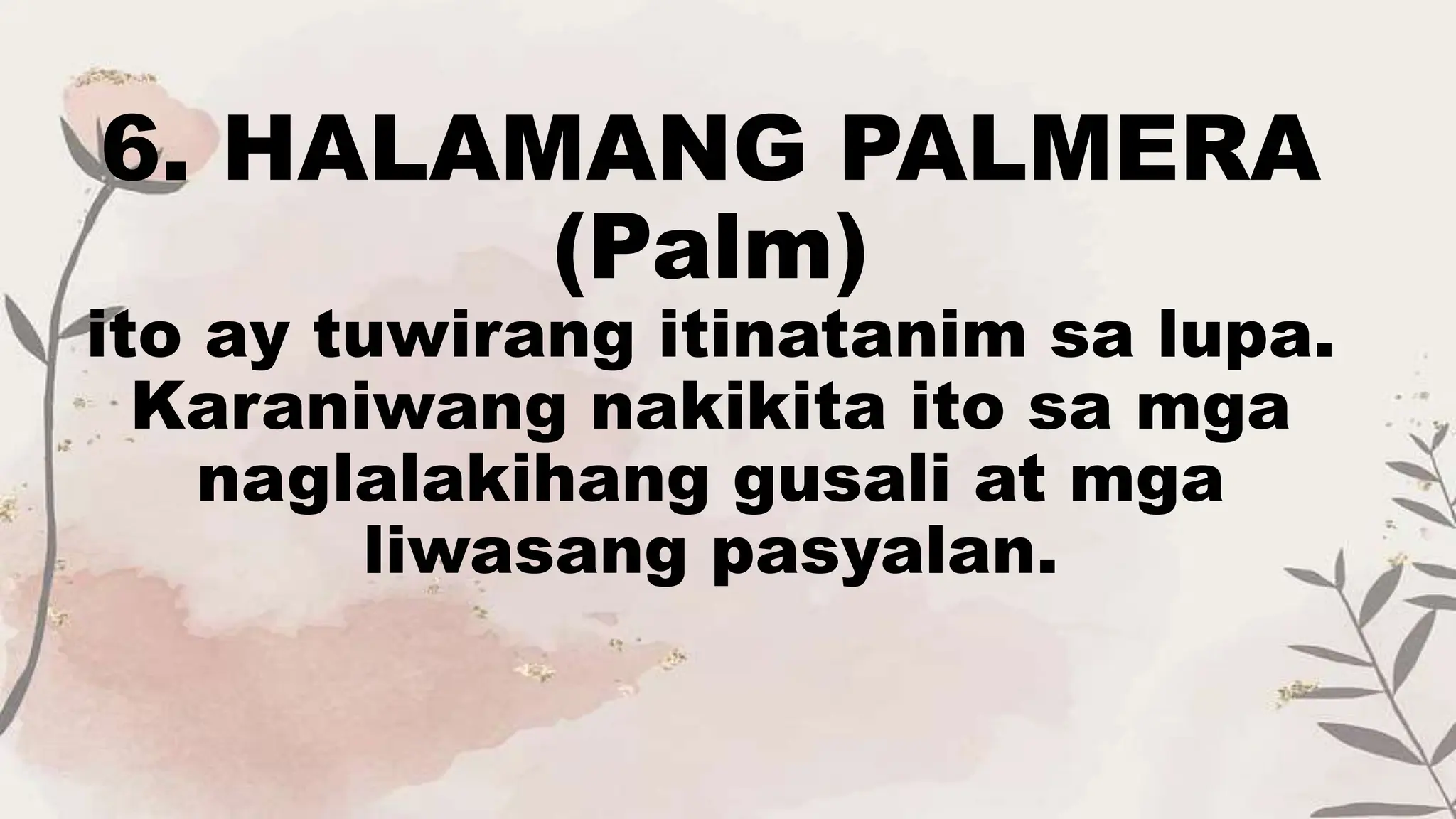 HALAMANG ORNAMENTAL.pptx