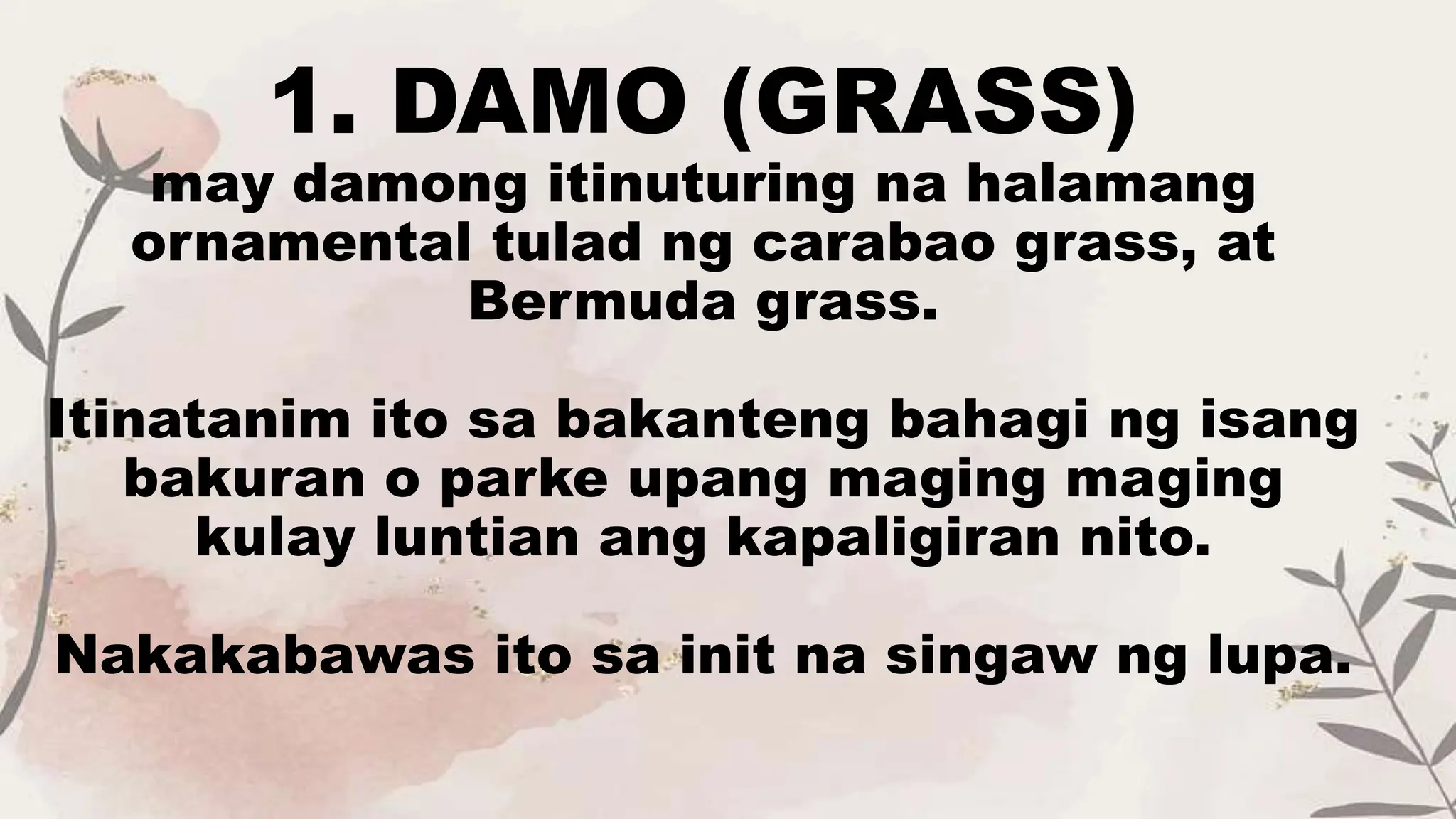 HALAMANG ORNAMENTAL.pptx