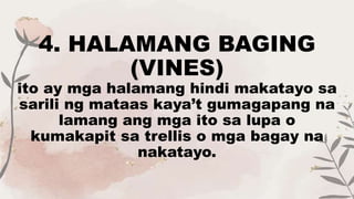 HALAMANG ORNAMENTAL.pptx