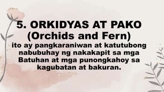 HALAMANG ORNAMENTAL.pptx