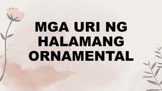 HALAMANG ORNAMENTAL.pptx