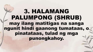 HALAMANG ORNAMENTAL.pptx