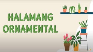 HALAMANG ORNAMENTAL.pptx