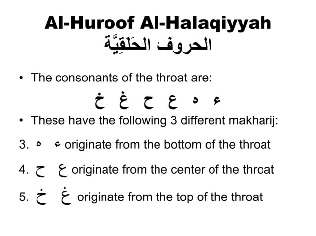 Halaqa makhaarij tajweed easy ruls | PDF | Ear, Nose and Throat ...