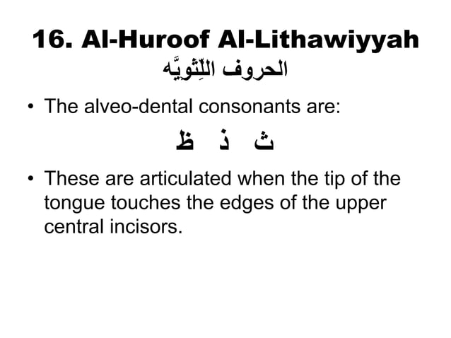 Halaqa makhaarij tajweed easy ruls | PDF | Ear, Nose and Throat ...