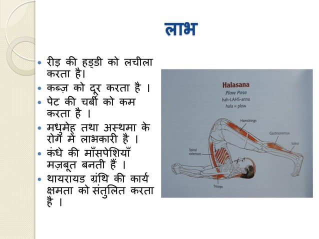 Halasana | PDF