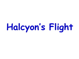 Halcyon's flight | PPT