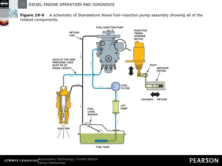 Halderman ch019 lecture