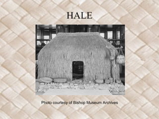 Hale | PPT