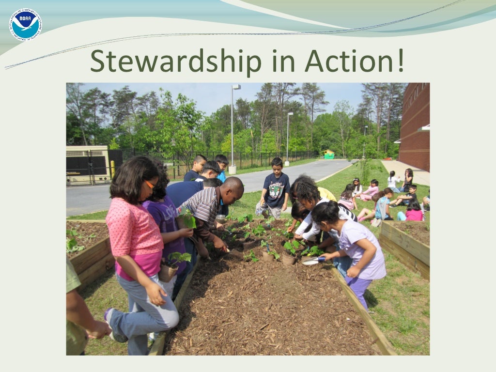 Stewardship in Action!